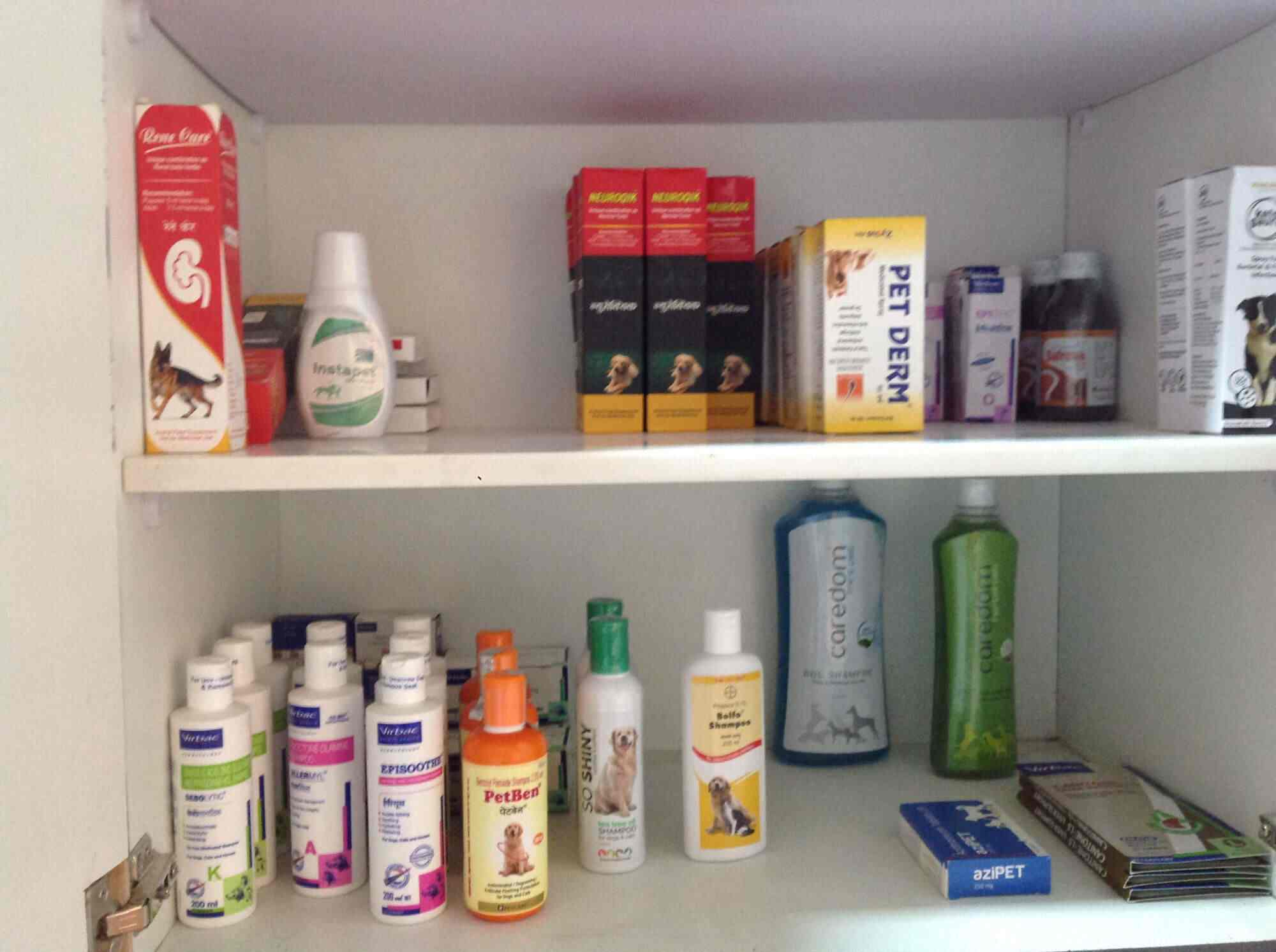 Dr. Ritesh N Patel in Satellite,Ahmedabad - Best Veterinary Doctors in ...