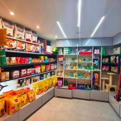 AVS Veterinary Hospital in Vastrapur,Ahmedabad - Best Veterinary ...