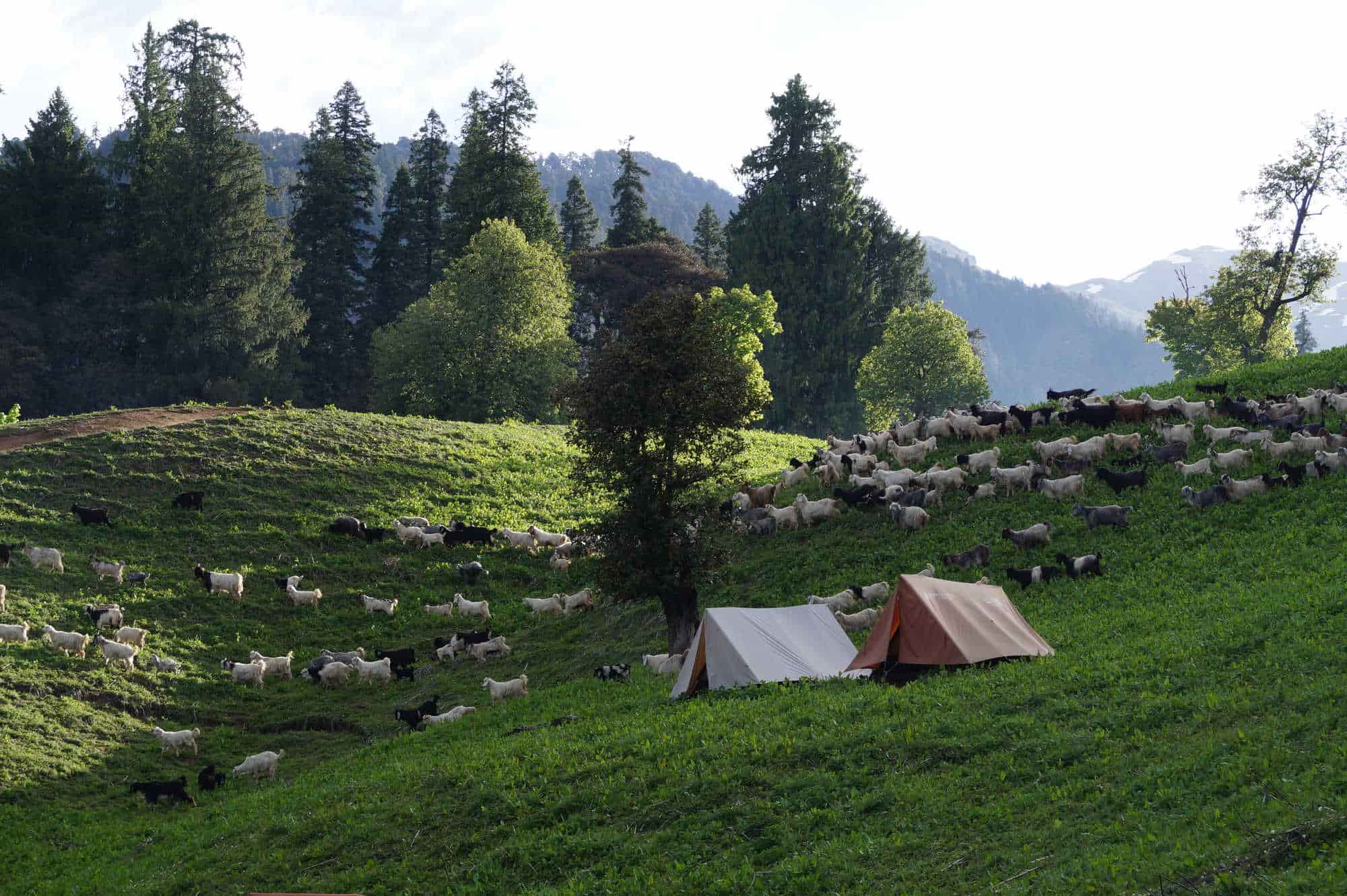 Path Adventure Pvt Ltd in Bodakdev,Ahmedabad - Best Tour Packages in ...