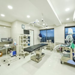 List of nearest Salivary Gland Specilaists near Eva Womens Hospital ...