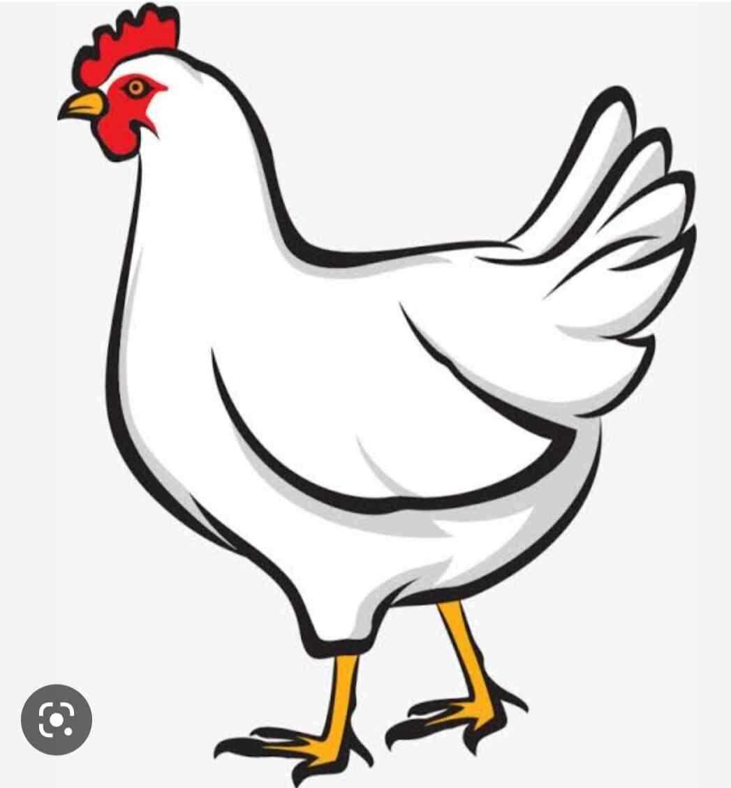 Kfc Chicken Shop in Sola,Ahmedabad - Best Chicken Retailers near me in ...