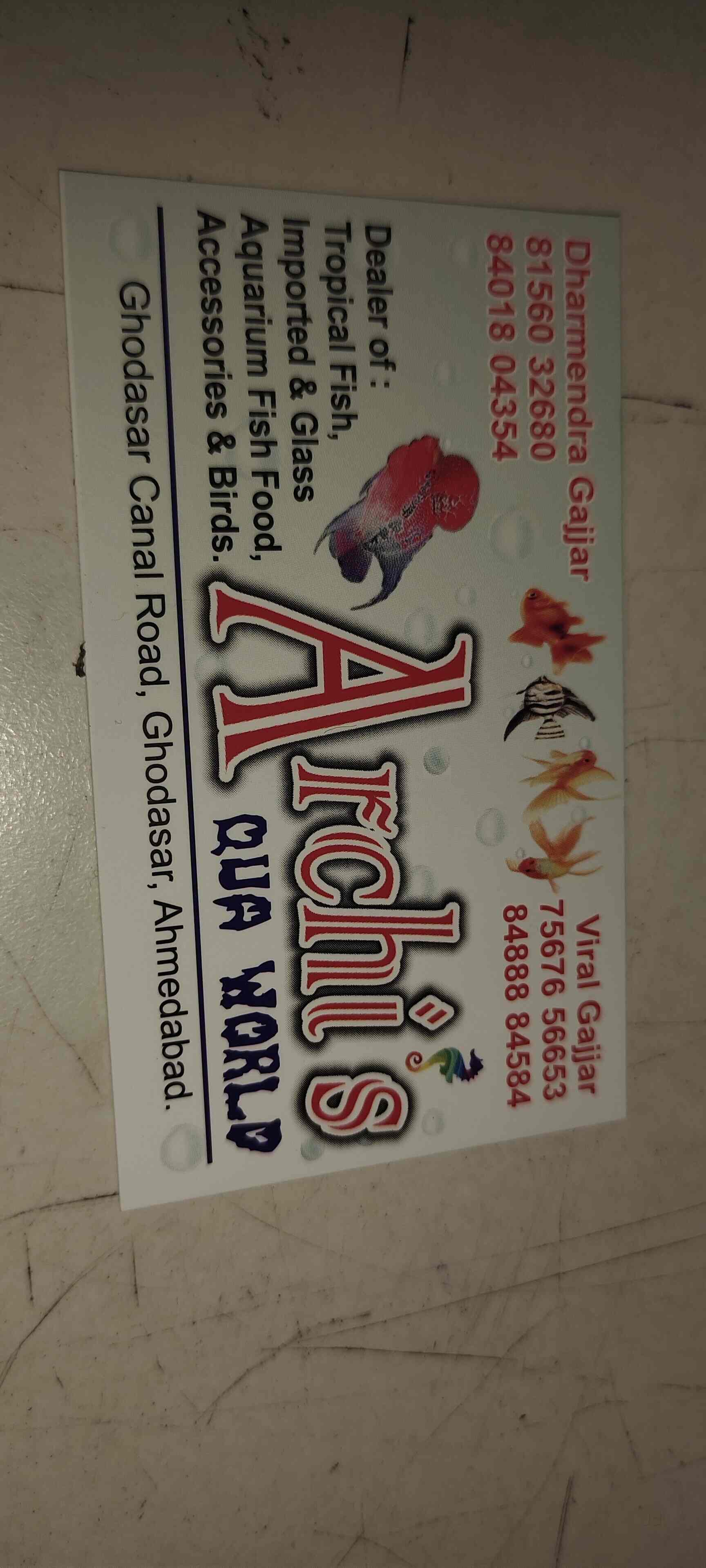 Archis Aqua World in Ghodasar,Ahmedabad - Best Aquarium Accessory ...