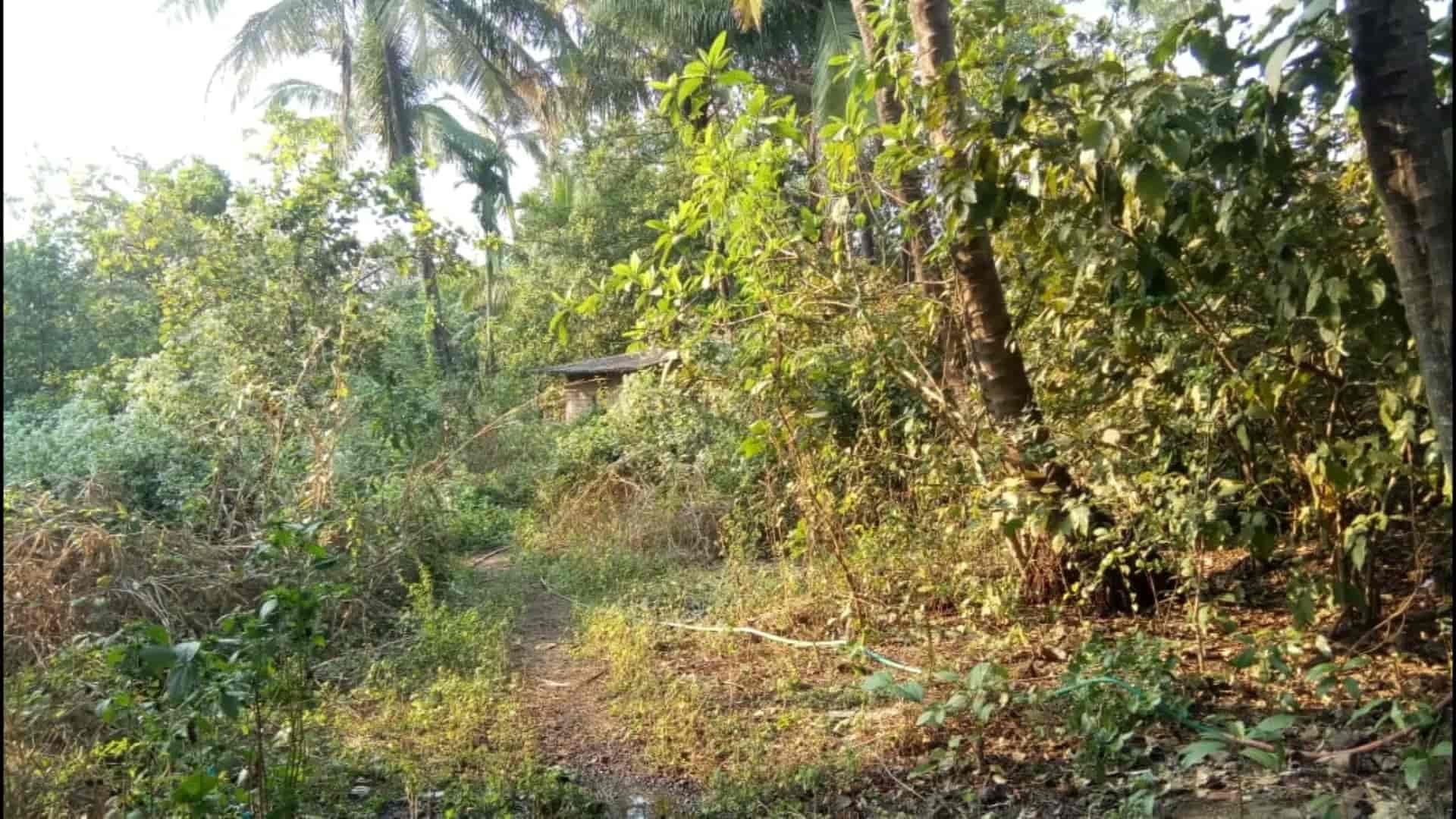 Top Real Estate Agents in Chaul, Alibaug - Best Estate Brokers - Justdial