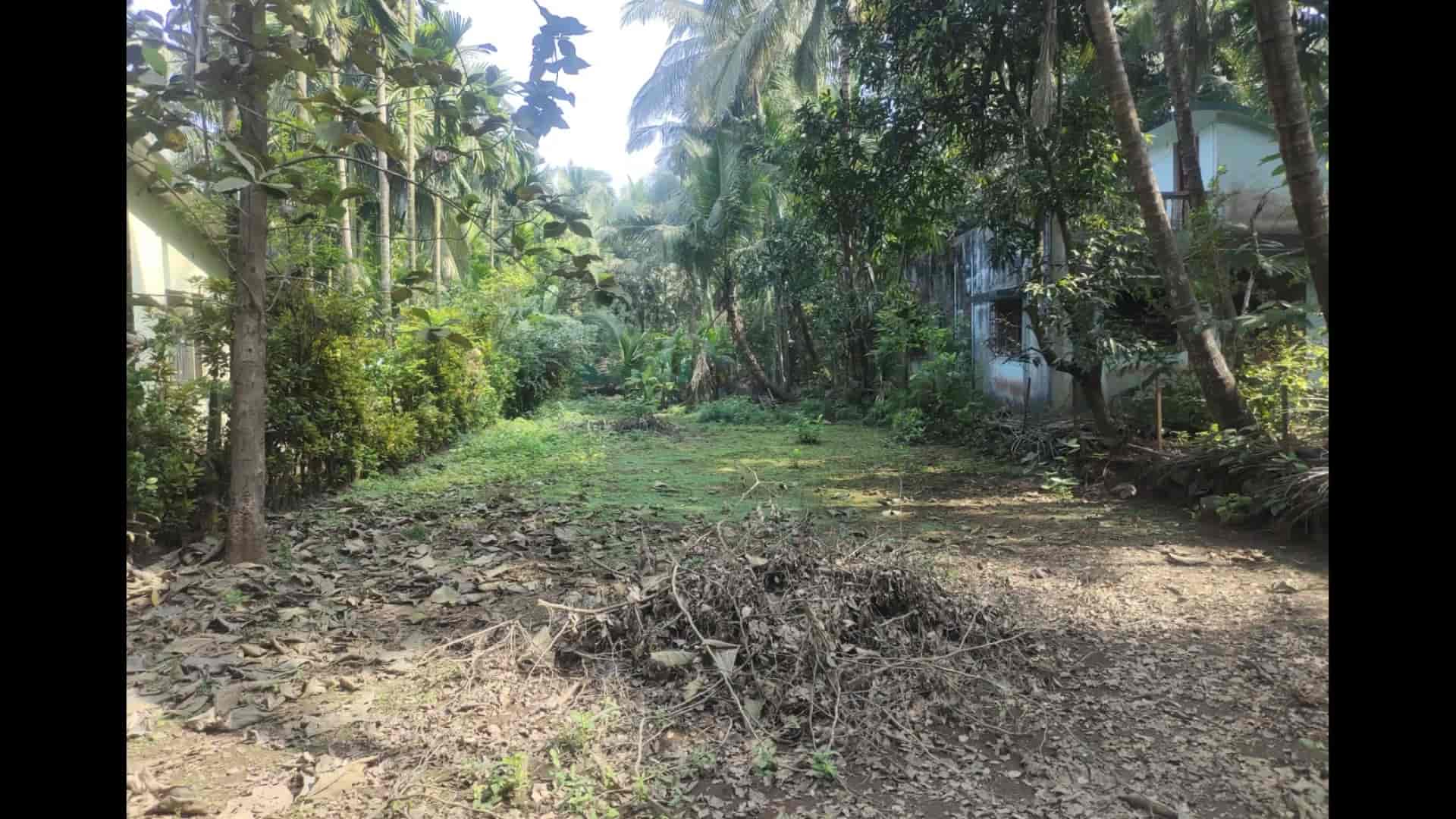 Top Real Estate Agents in Chaul, Alibaug - Best Estate Brokers - Justdial