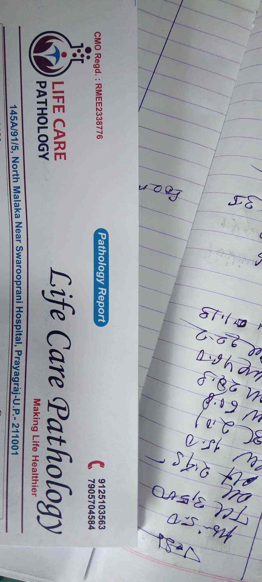 Life Care Pathology in Jhunsi,Allahabad - Best Pathology Labs in ...