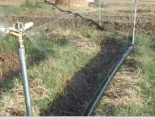 Drip Irrigation System - Drip Irrigation Latest Price, Drip System ...