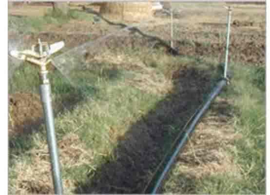 Drip Irrigation System - Drip Irrigation Latest Price, Drip System ...