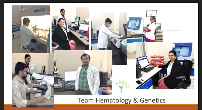Yellow Dot Clinic Hematology & Genetics in Osmanpura,Aurangabad ...