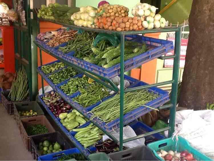 Daily Fresh in Aecs Layout Kundanahalli,Bangalore - Best Fruit Home ...