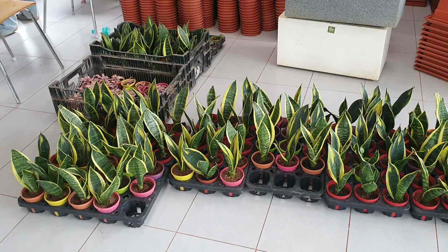 Ms Sheela Reddy in Rajarajeshwari Nagar,Bangalore - Best Landscape ...