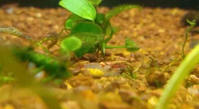 FINZ India Aquariums in Ramamurthy Nagar,Bangalore - Best Aquarium ...