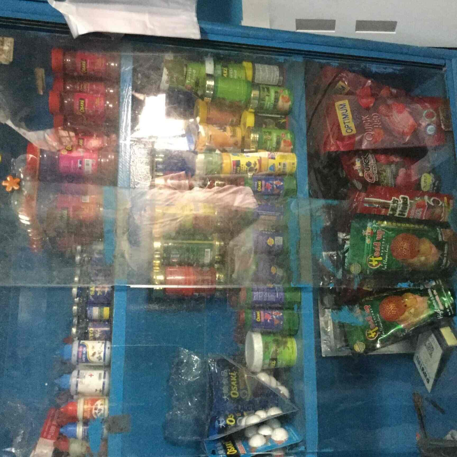 Friends Aquarium And Pets in Krishnananda Nagar-nandini Layout ...