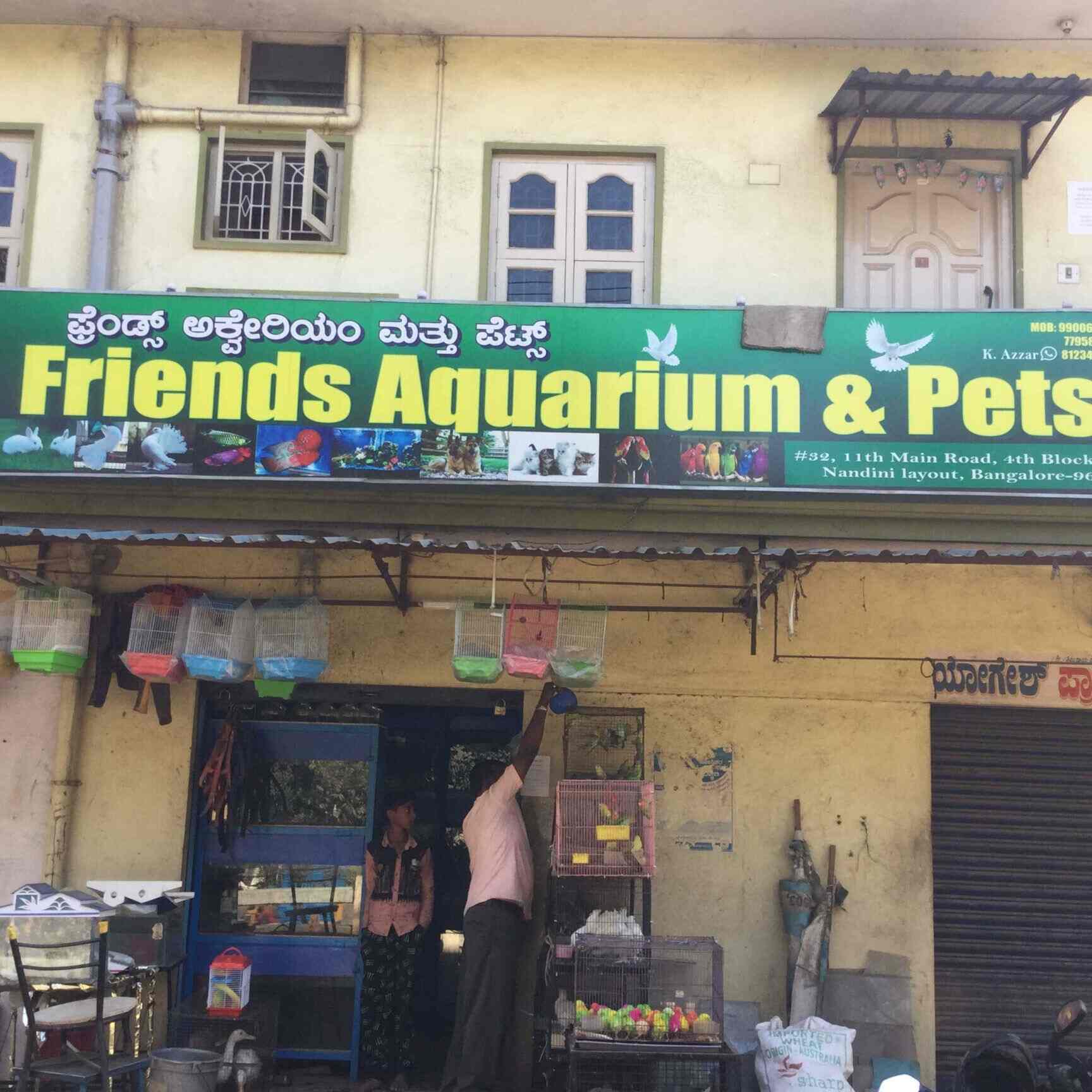 Friends Aquarium And Pets in Krishnananda Nagar-nandini Layout ...