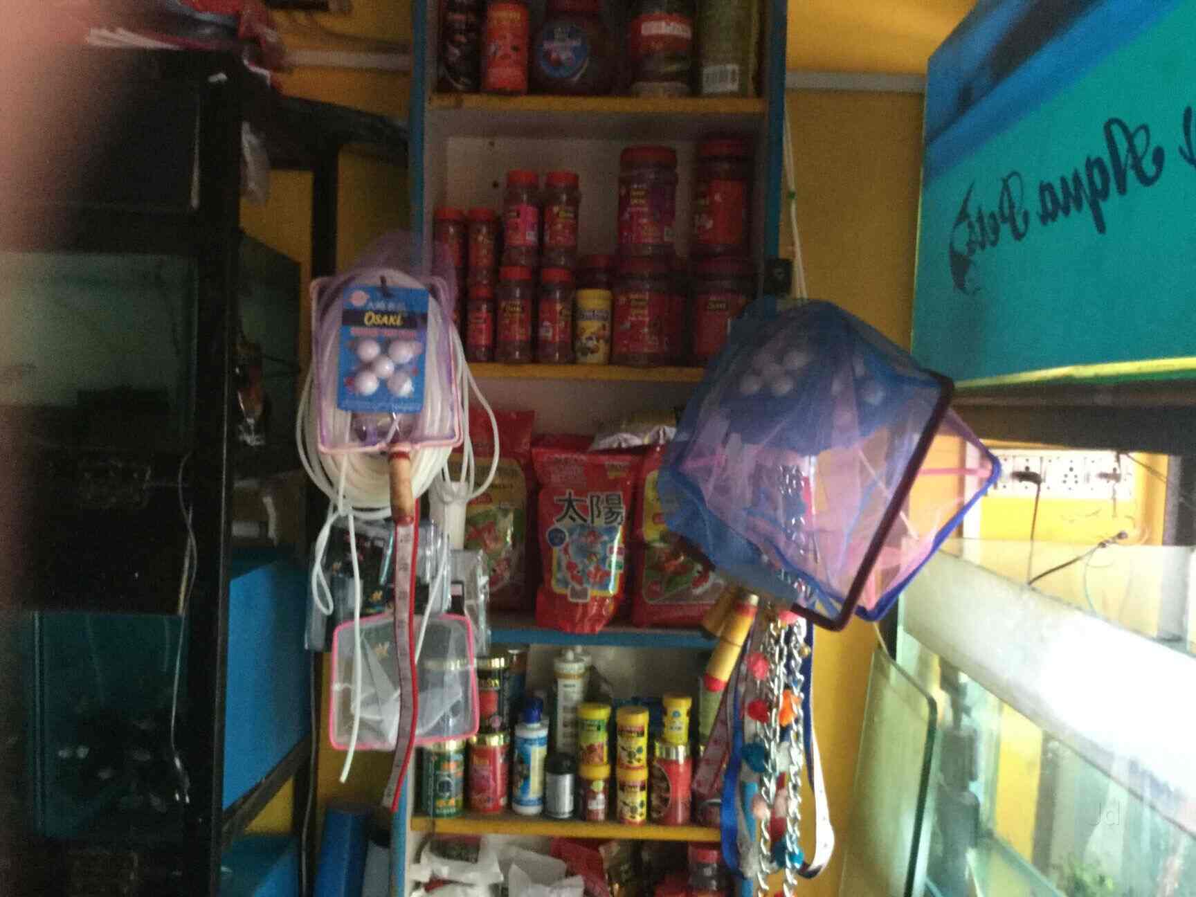 Lovely Aqua Pet in Mahalakshmi Layout,Bangalore - Best Aquarium ...