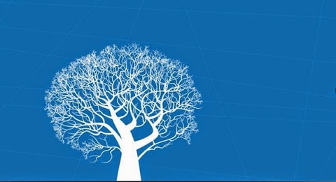 Catalogue - InvnTree Intellectual Property Services Pvt Ltd in Hsr ...