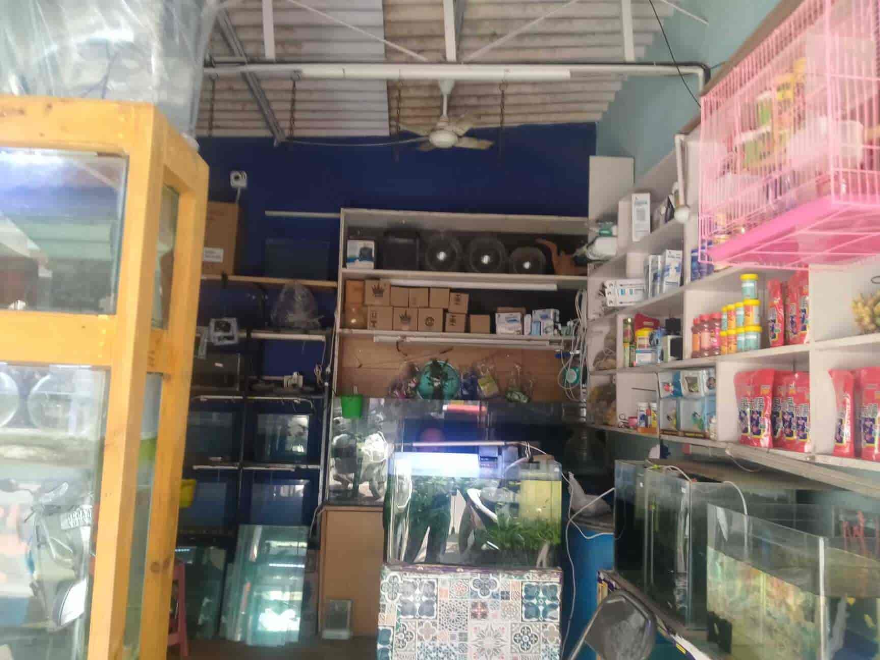 Living Water Aquarium & Pets in Ramamurthy Nagar,Bangalore - Best ...