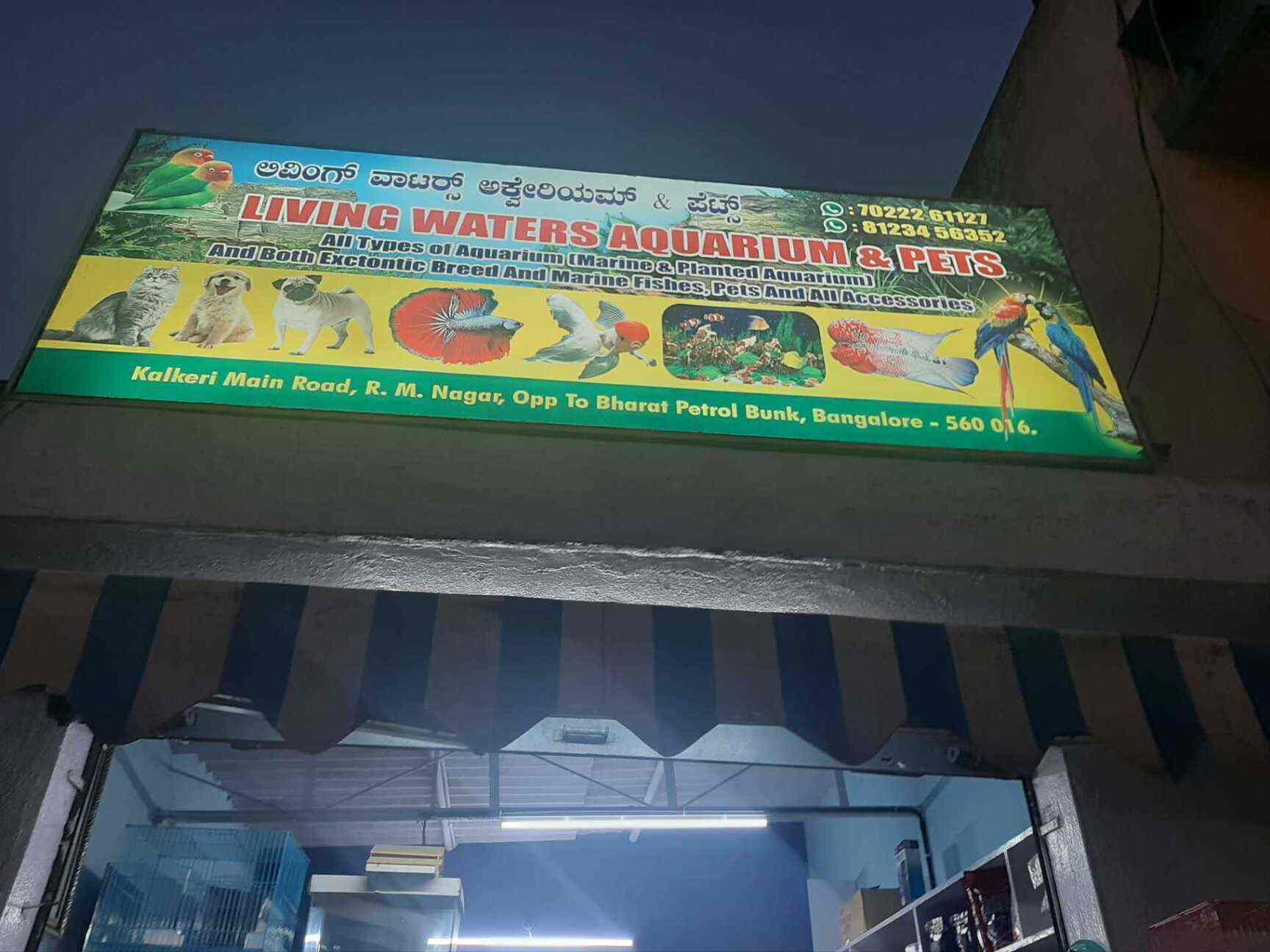Living Water Aquarium & Pets in Ramamurthy Nagar,Bangalore - Best ...