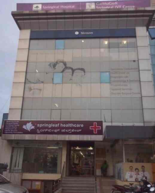 Dr. Krishna Shaw (Springleaf Healthcare) in Electronic City,Bangalore ...