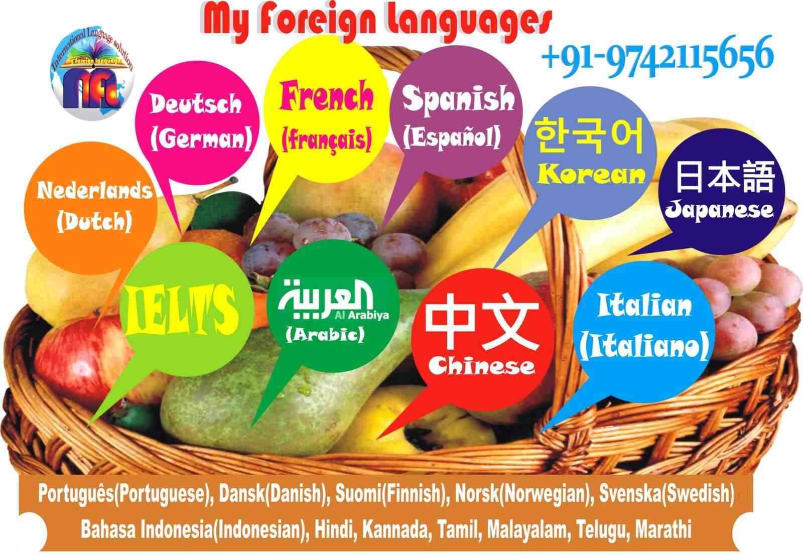 My Foreign Languages in Basaveshwara Nagar,Bangalore - Best Language ...