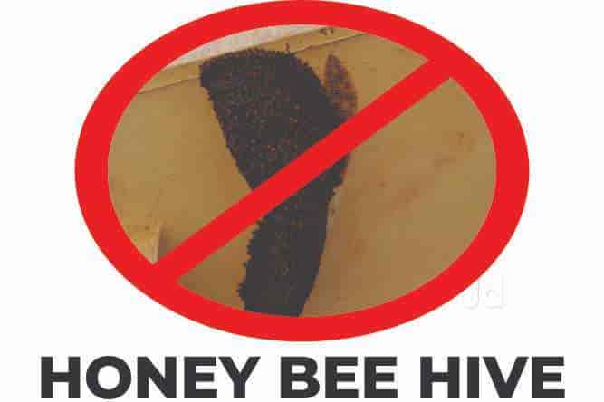 Top Mosquitoes Pest Control Services near Sri Sathya Sai Baba College ...