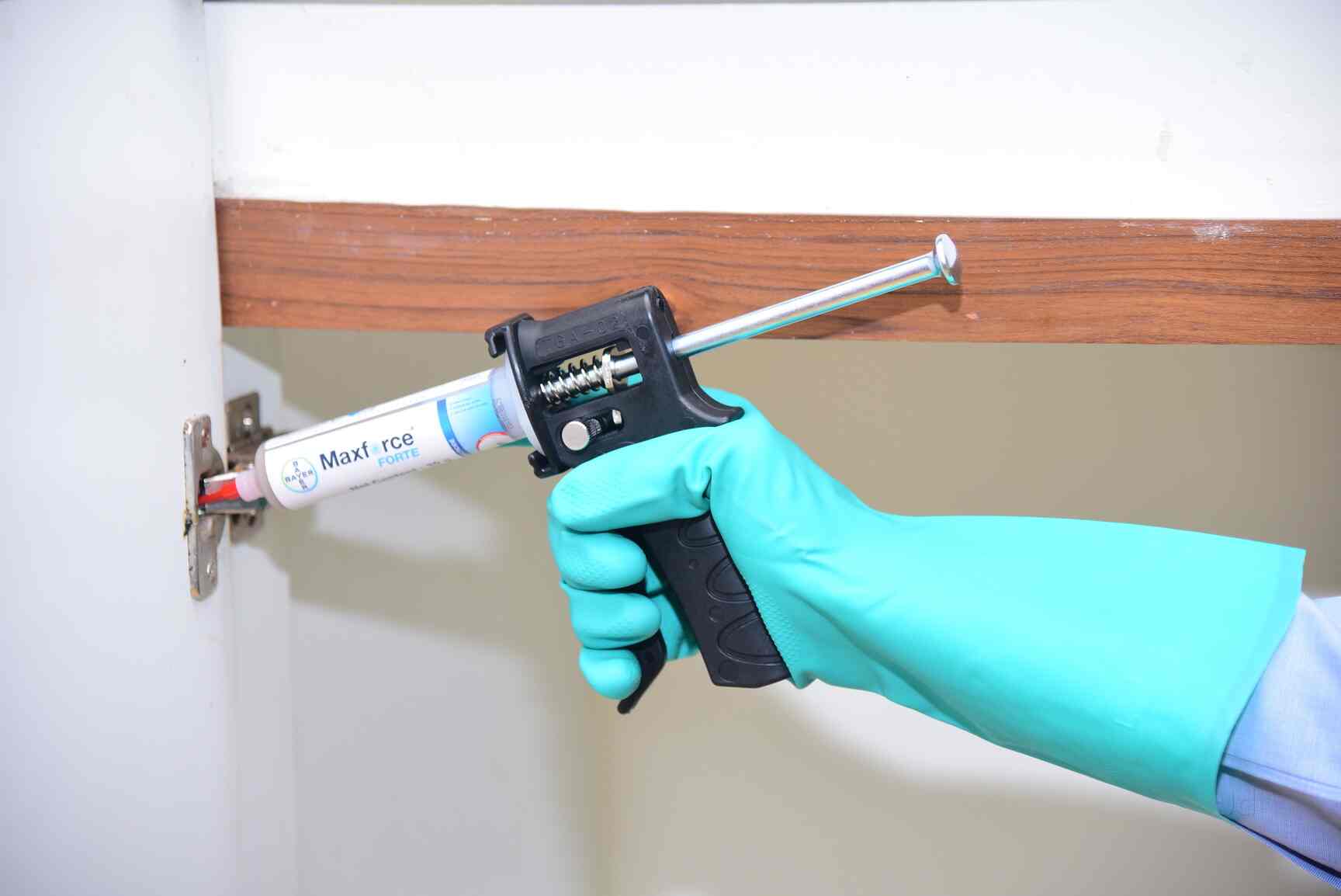Top Mosquitoes Pest Control Services near Sri Sathya Sai Baba College ...