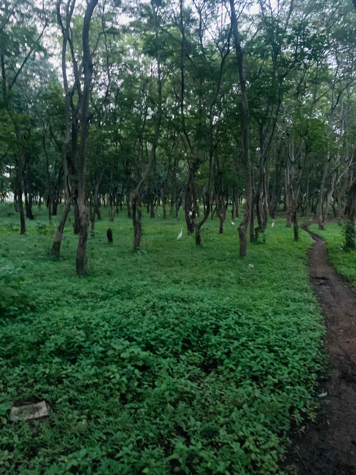 La Liga Reserve Ground in Bhilai Sector 9,Bhilai - Best Sports Clubs ...