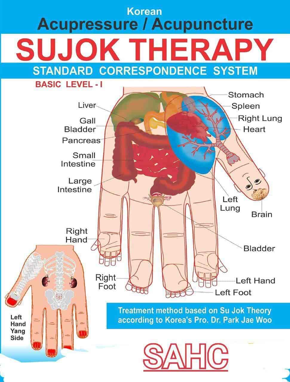 Top Alternative Medicine Treatment Doctors in Bhopal - Best Alternative ...