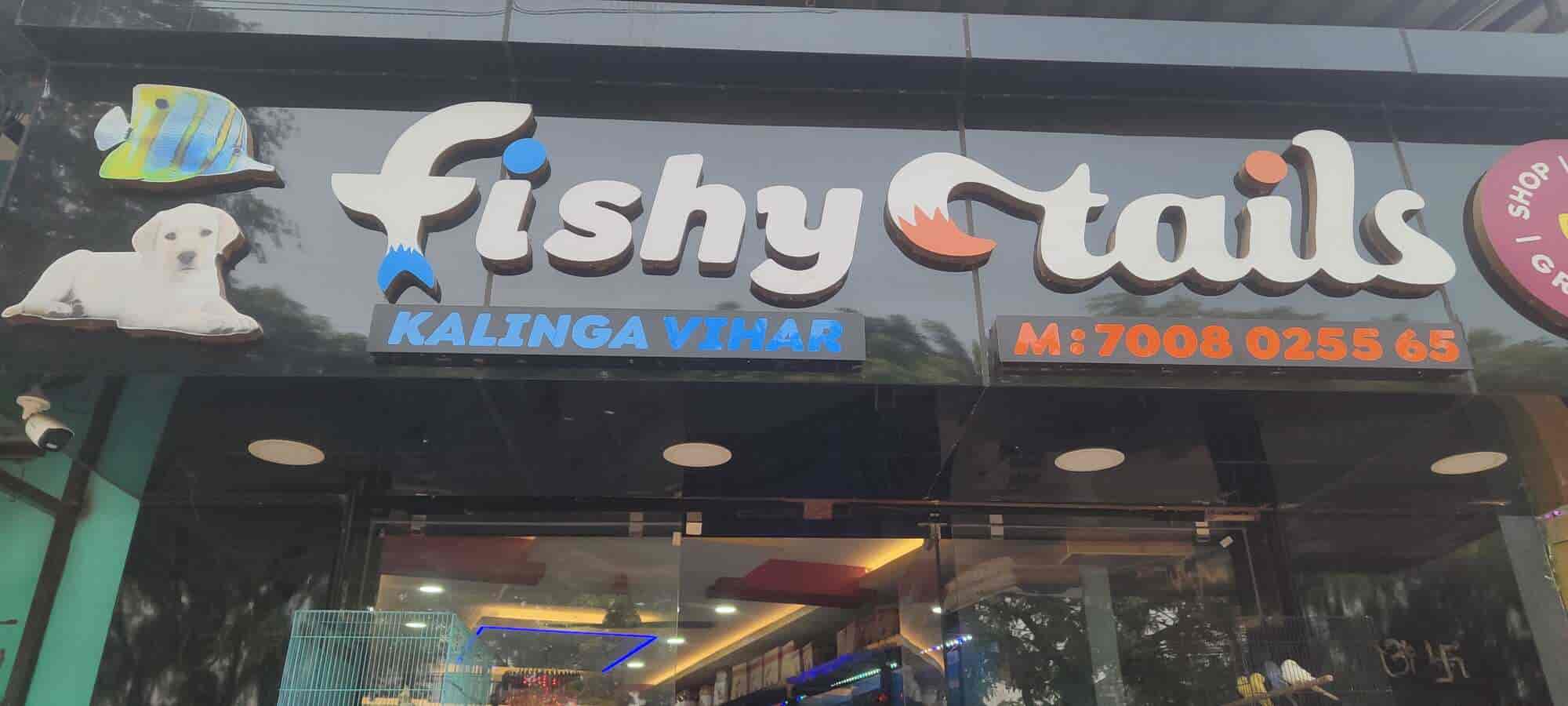 Fishytails in KIIT Road,Bhubaneshwar - Best Aquarium Fish Dealers near ...