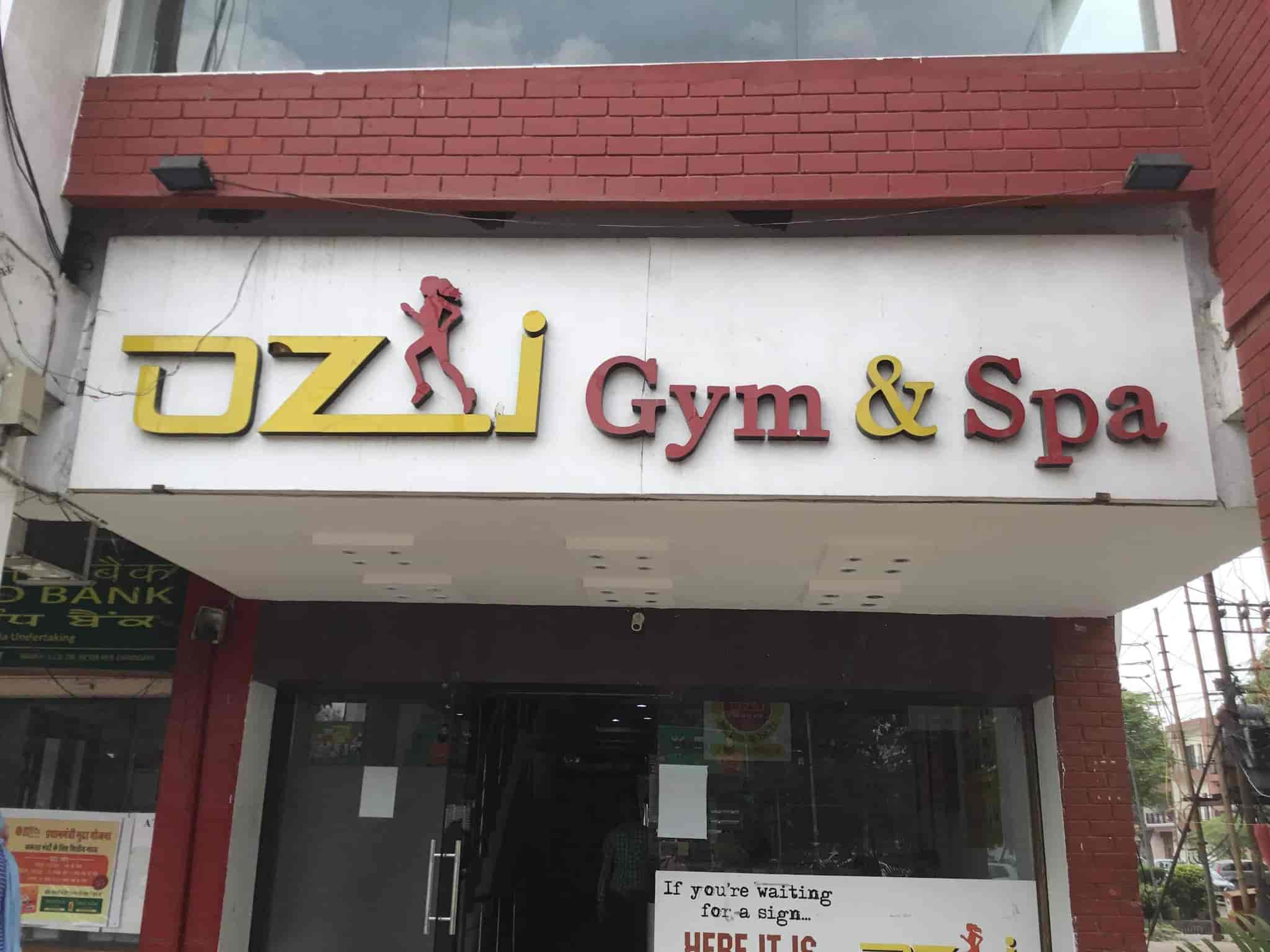 Ozi Gym & Spa (Closed Down) in Chandigarh Sector 40d,Chandigarh - Best ...