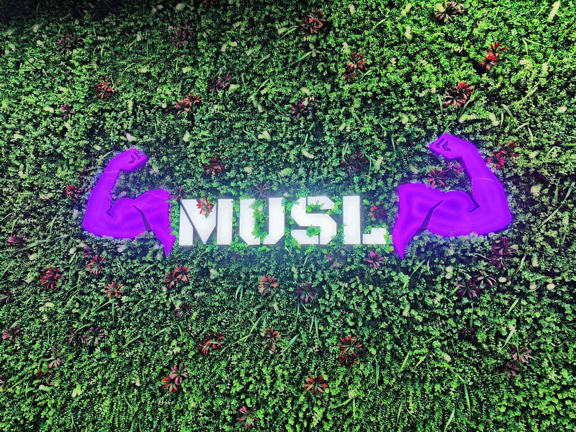 Musl The Fitness Villa in Chandigarh - Best Gyms in Chandigarh - Justdial