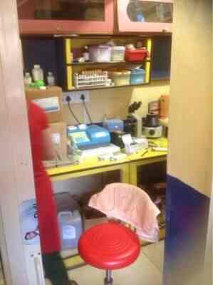 Medi Plus Laboratory in CHANDIGARH SECTOR 38 WEST,Chandigarh - Best Pathology Labs in Chandigarh ...