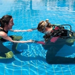 Top Scuba Diving Classes in Panchkula Sector 4 - Best Underwater Diving ...