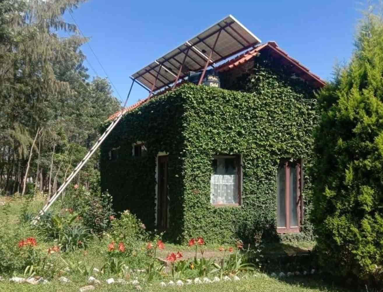 Catalogue - Aanandaa Permaculture Farm (Closed Down) in Chandigarh ...