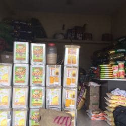 Top Rajdhani Pulses Retailers in Nagpur - Best Rajdhani Pulses ...