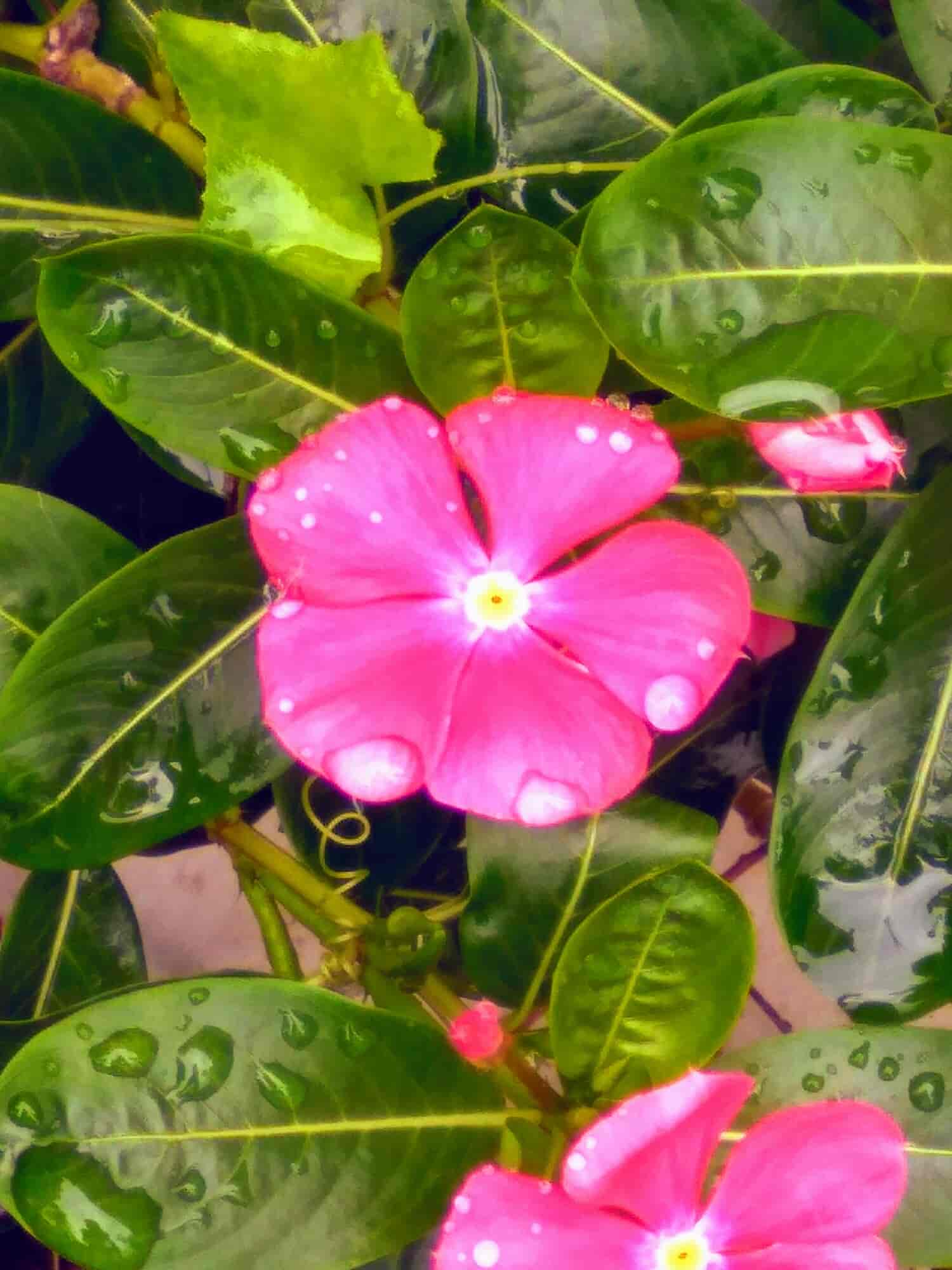 M S Raja Department Store in kamarajar nagar,Chengalpattu - Best ...