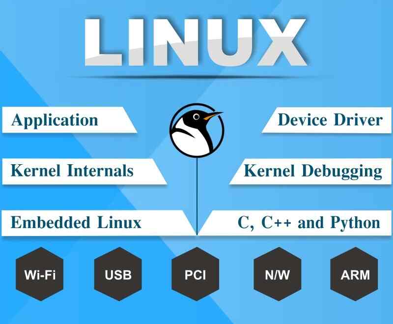 Decanet Systems in Kaiveli-Velacheri,Chennai - Best Human Resource ...