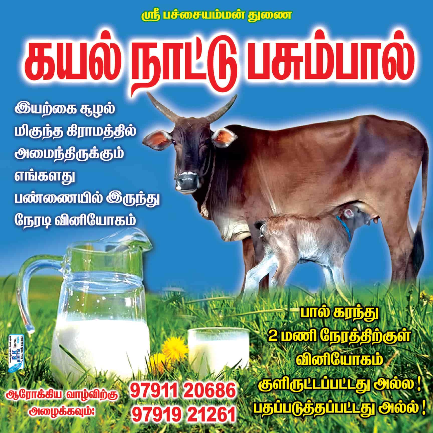 Kayal Organics in Kolathur,Chennai - Best Milk Dairy in Chennai - Justdial