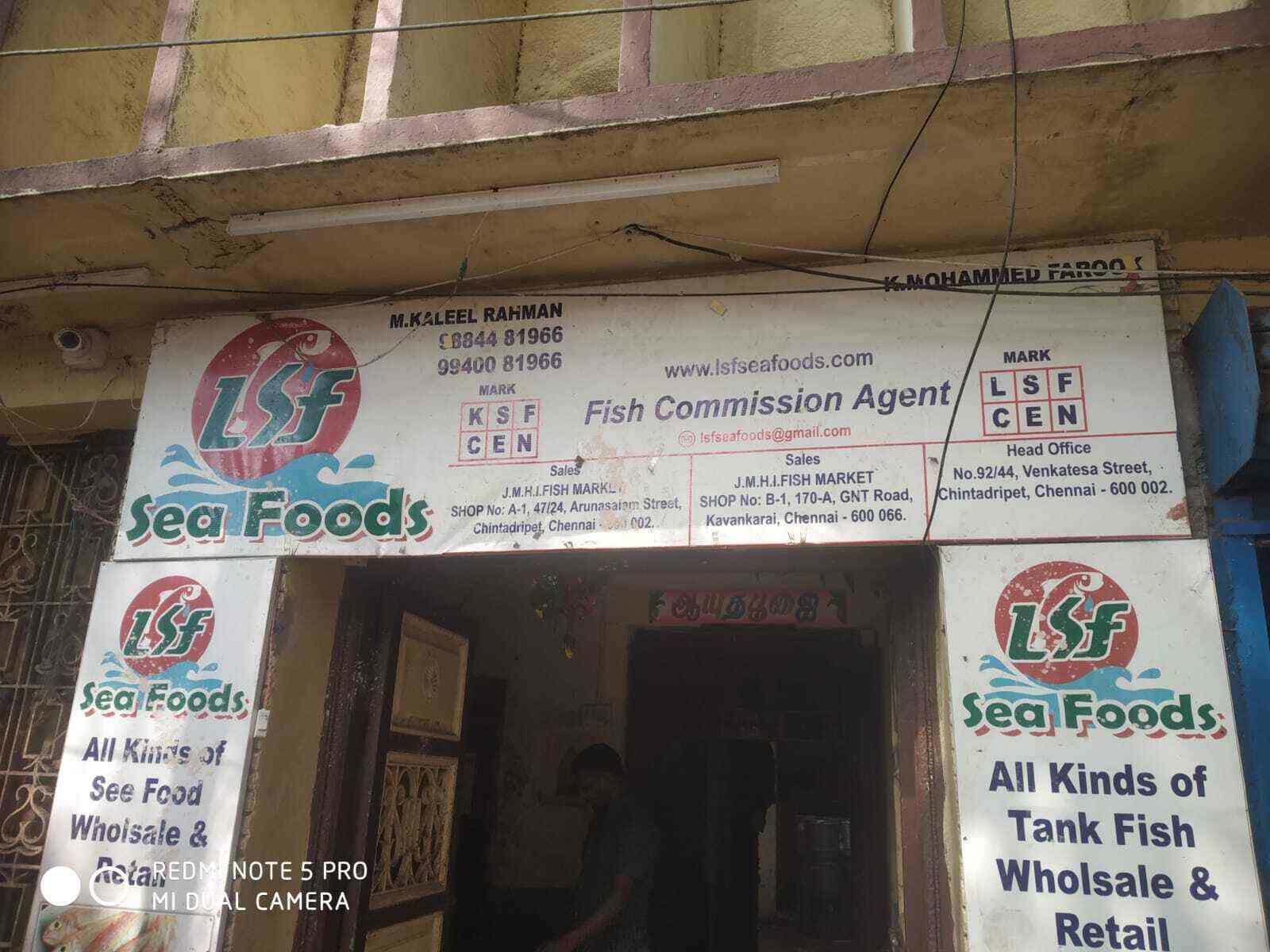Catalogue - Lsf Sea Foods in Chennai - Justdial