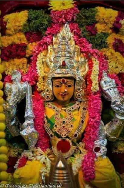 Sri Bannari Amman Catering in Rathinapuri,Coimbatore - Best Caterers ...