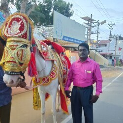 Major Band (Closed Down) in Sidhapudur,Coimbatore - Best near me in ...