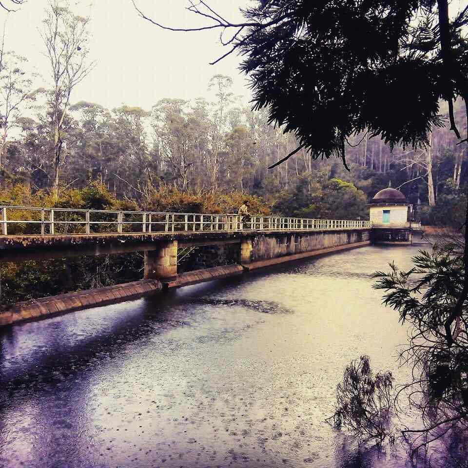 Ralliah Dam in Mount Road,Coonoor - Best Tourist Attraction near me in ...