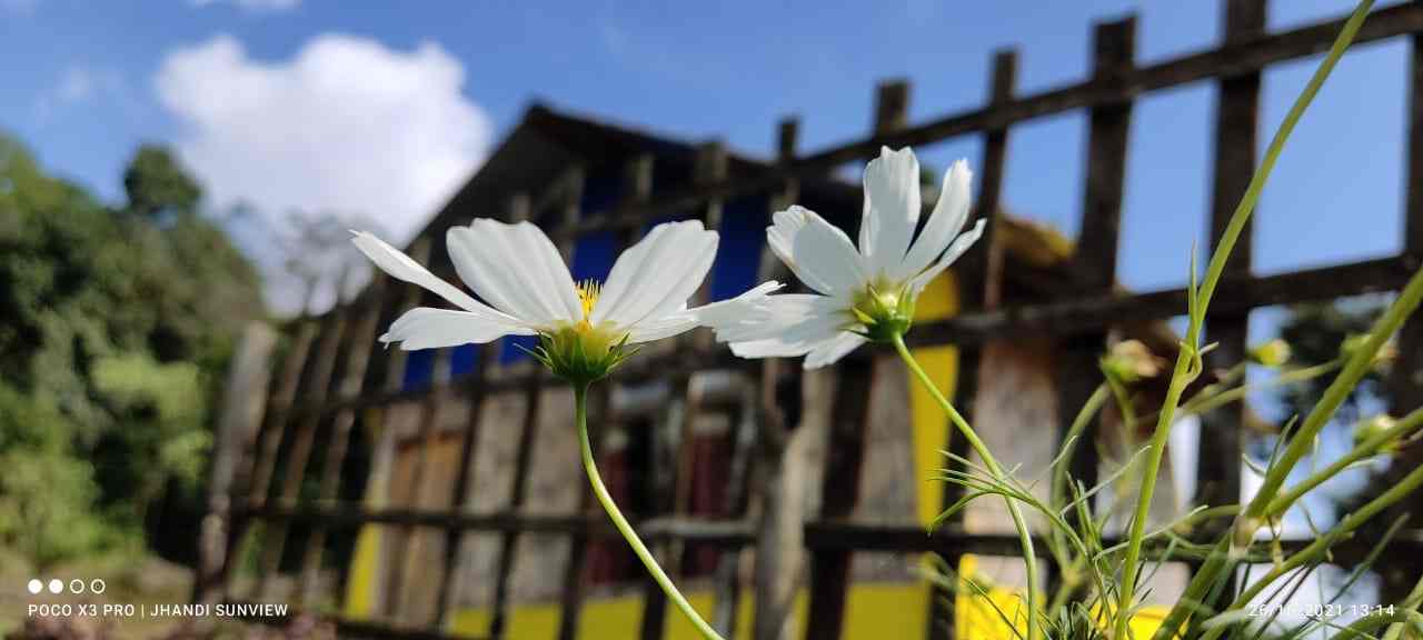 Book Sangam Eco Hut in Rishop,Darjeeling - Best Hotels near me in ...