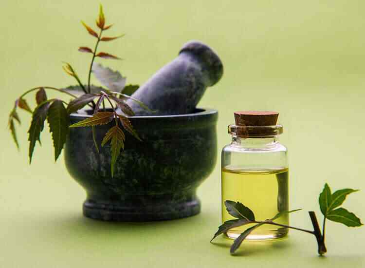 Veleeparambil Ayur Home - Clinics - Book Appointment Online - Clinics ...