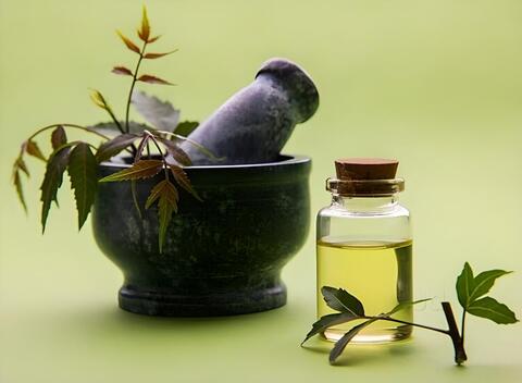 Top Ayurvedic Product Dealers in Sikar - Best Ayurvedic Medicine ...