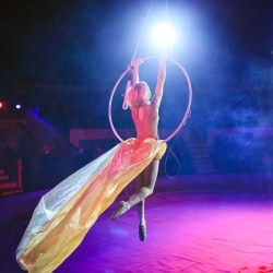 Top Circus near Tamil Jeya Cinemas Rukmanipalayam - Best Circus Shows ...