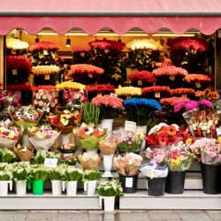Nearest florist store