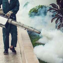 Top Residential Pest Control Services in Yelahanka - Best Pest Control ...