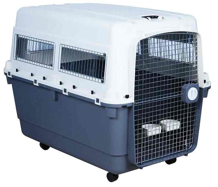 Rerun Kennel in Dhayari,Pune - Best Dog Kennel Dealers near me in Pune ...