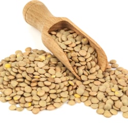 Catalogue - Vijay Daal Mill in Jabalpur - Justdial