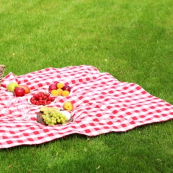 Top Picnic Spots near Villivakkam - Best Picnic Places near me- Justdial